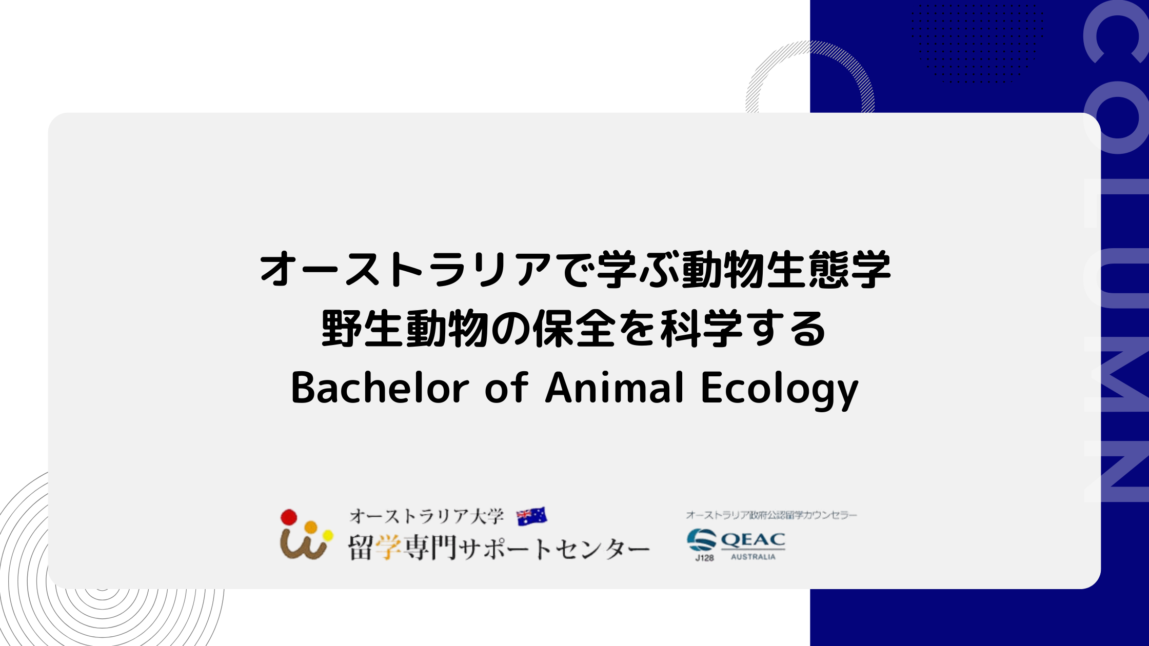 オーストラリアで学ぶ動物生態学｜野生動物を科学するBachelor of Animal Ecology | オーストラリア大学留学専門サポートセンター